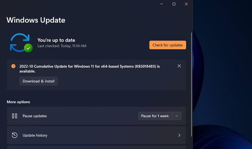 How to Fix the “D3D11-compatible GPU” Error in Windows 11/10