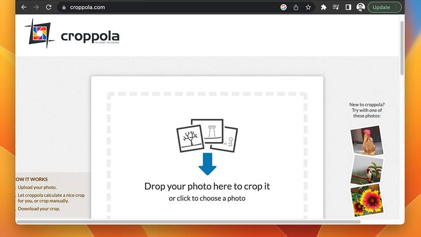 7 Ways to Crop a Picture Online