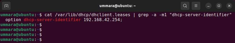 How to Find the IP Address of a DHCP Server in Linux
