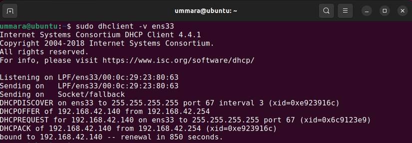 How to Find the IP Address of a DHCP Server in Linux