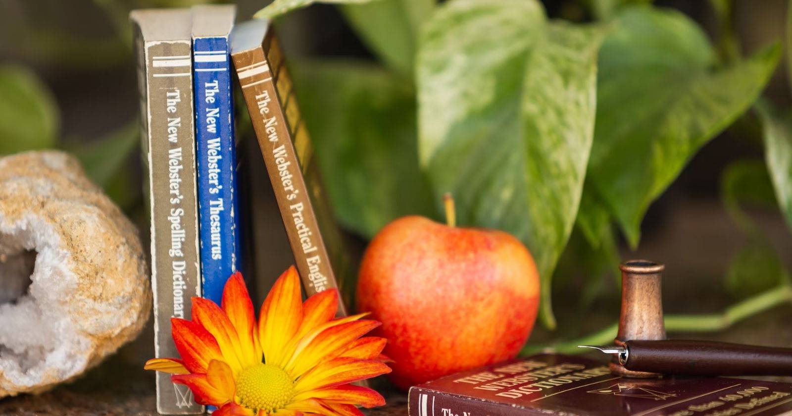 The 5 Best Thesaurus Apps for Android and iOS