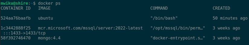 How to Run Ubuntu as a Docker Container