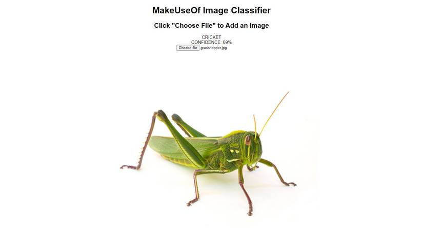 Create an Image Classification Tool With ml5.js and HTML