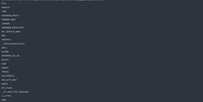 Working With Environment Variables in Go