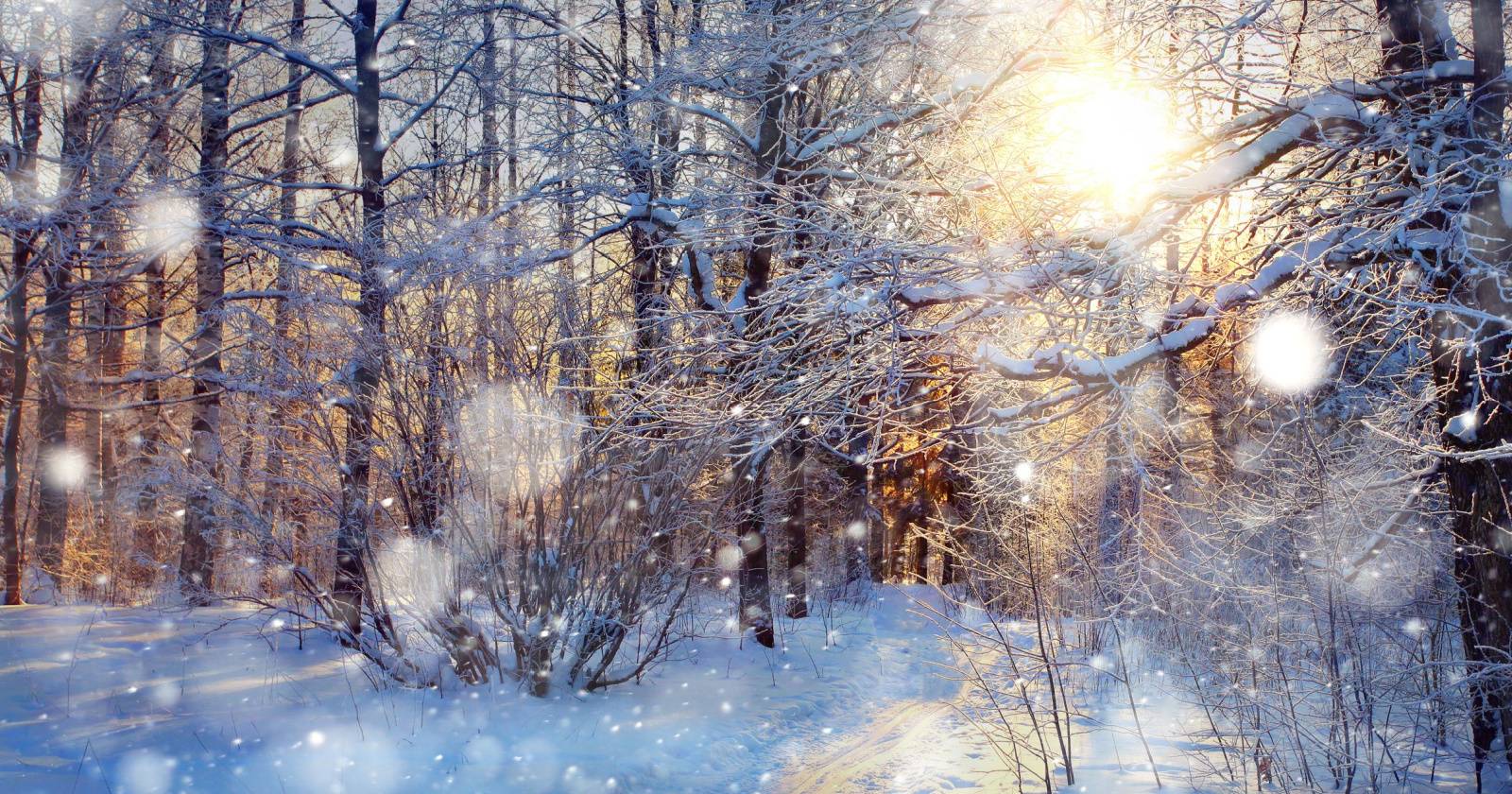 How to Add Animated Snowfall to Windows 11’s Desktop