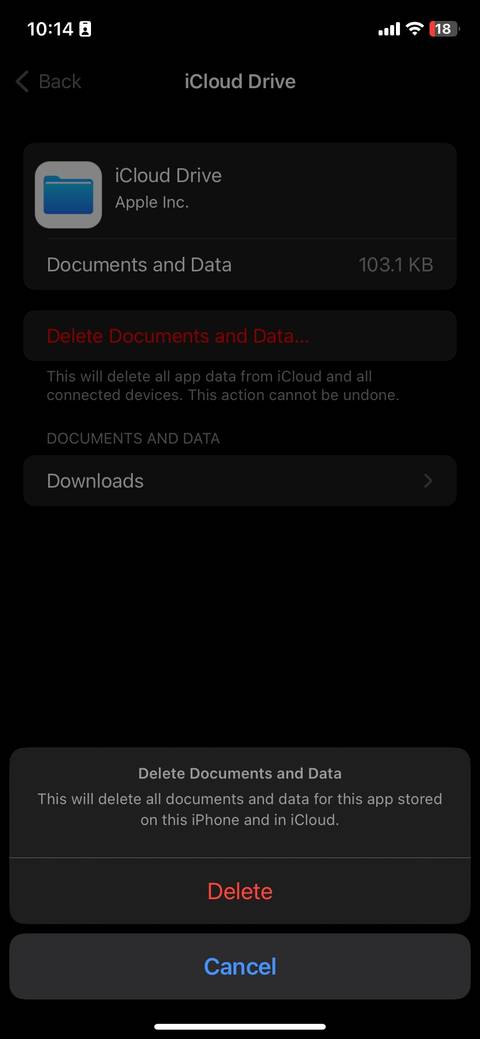 iPhone Documents and Data: What Is It and How Do You Delete It?