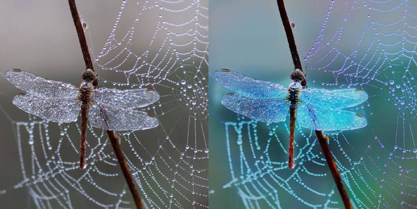 How to Add a Neon Glow Effect to Your Photos Using Snapseed