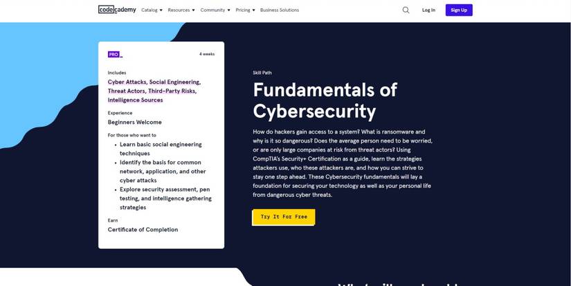 The 9 Best IT Certification Courses for Beginners