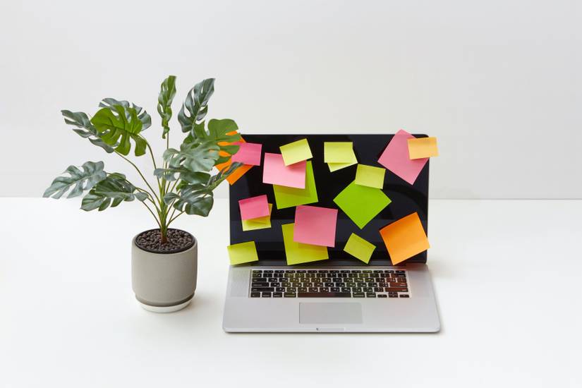 5 Tips to Organize Your Notes as a Student