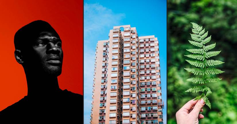 What Is Portrait Orientation in Photography?