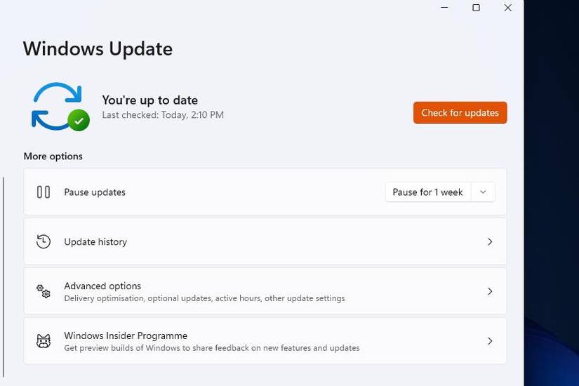 How to Fix the Search Tool in Windows 10 & 11 Not Displaying Results