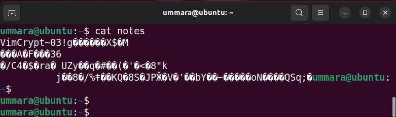 How to Use Vim to Encrypt Text Files on Linux