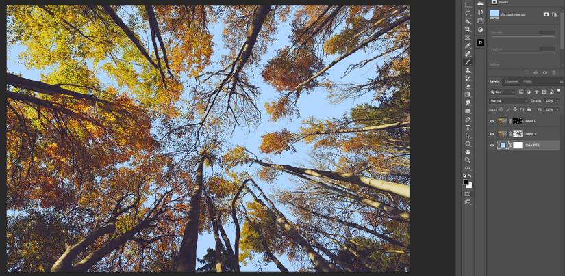 How to Replace Complex Skies in Photos Using Photoshop