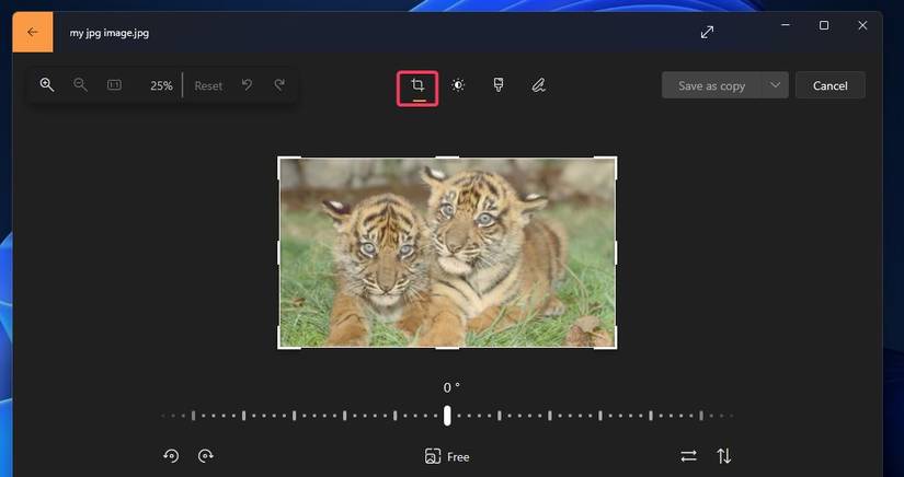 6 Ways to Crop Images in Windows 11