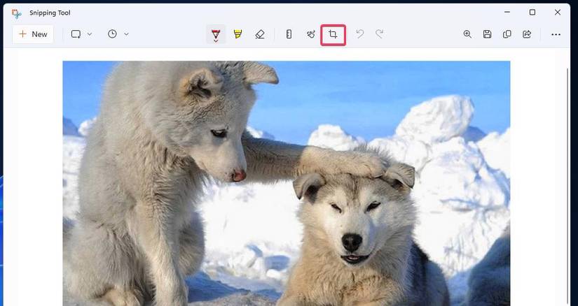 6 Ways to Crop Images in Windows 11