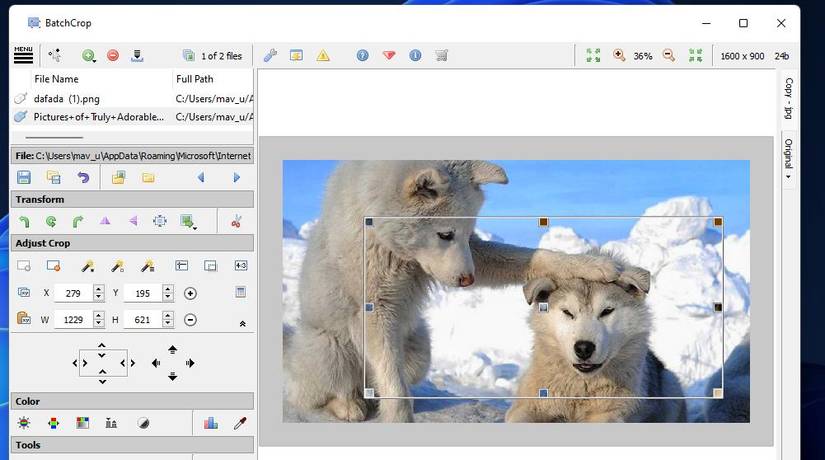 6 Ways to Crop Images in Windows 11