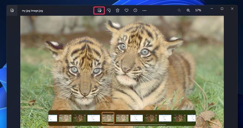 6 Ways to Crop Images in Windows 11