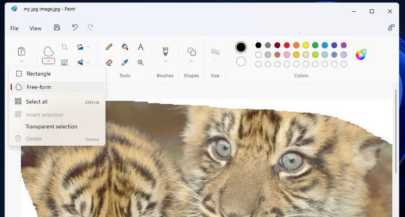 6 Ways to Crop Images in Windows 11