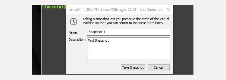 What Is a VMware Snapshot and How Do You Make One?
