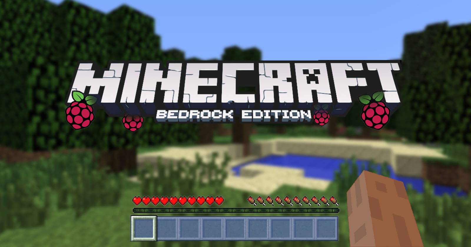How to Install a Minecraft Bedrock Server on Raspberry Pi
