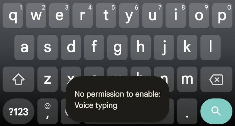 No Permission to Enable Voice Typing on Android? Here's How to Fix It