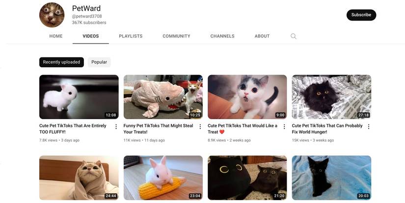 The 8 Best Websites to Watch Funny Pet Videos