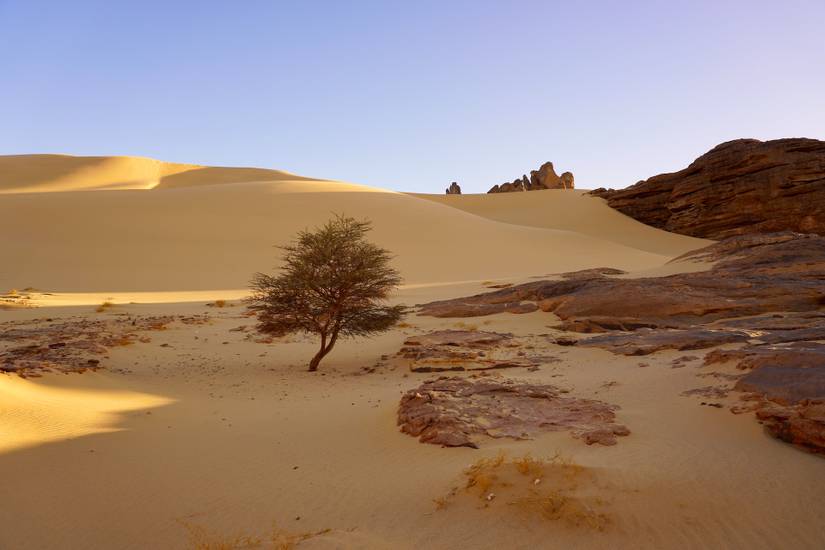 Landscape vs. Portrait Photography: What's the Difference?