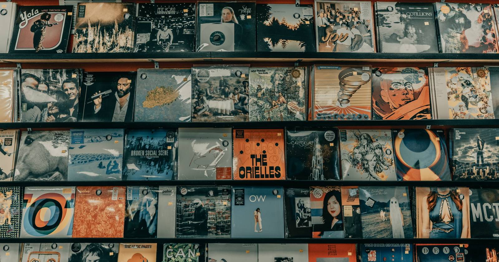 How to Create a Simple Image Gallery Using HTML, CSS, and JavaScript