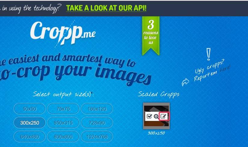 6 Ways to Crop Images in Windows 11
