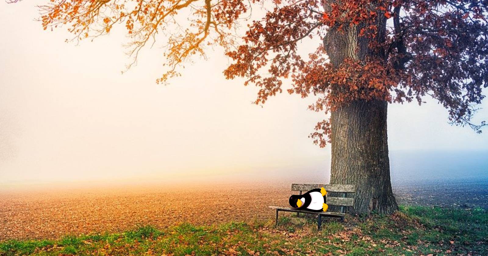 How to Set Live Wallpapers and Animated Backgrounds on Linux