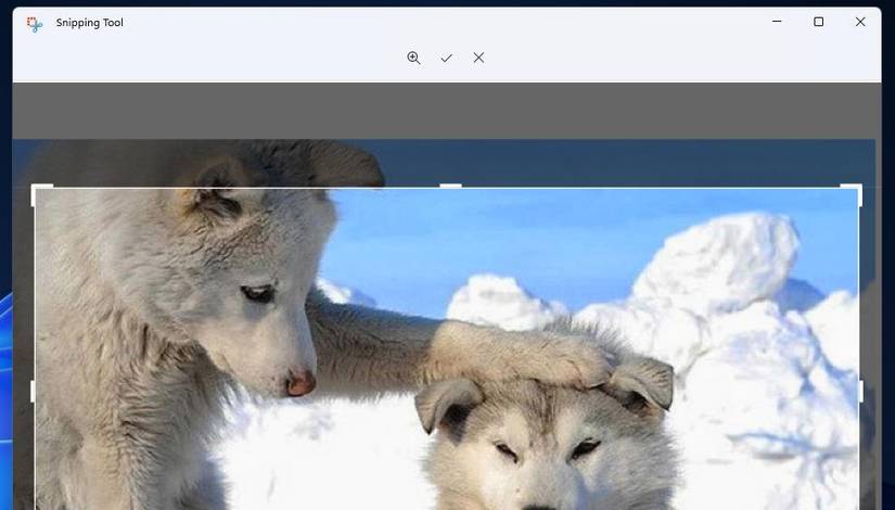 6 Ways to Crop Images in Windows 11