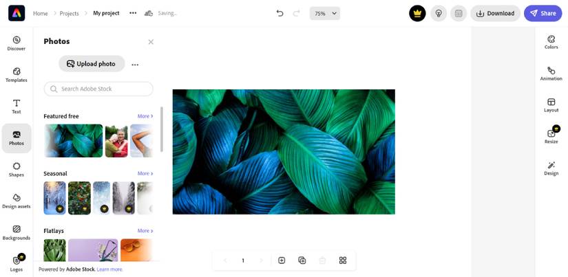 Canva vs. Adobe Express: Which Is the Better Free Graphic Design Tool?