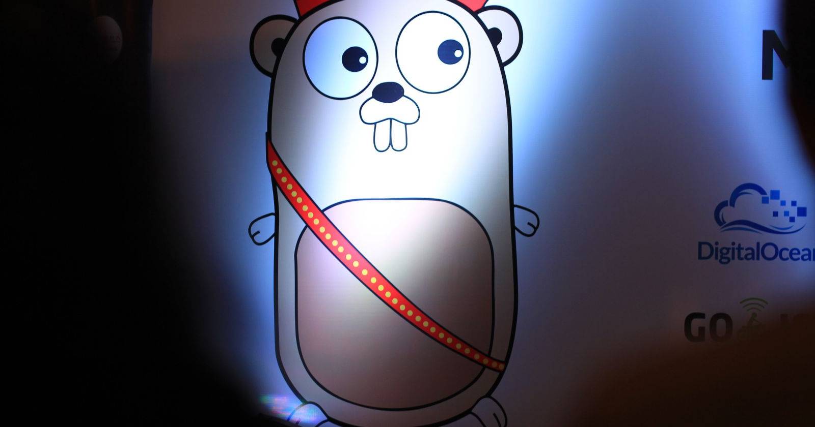 Validating Go Structs Using Govalidator