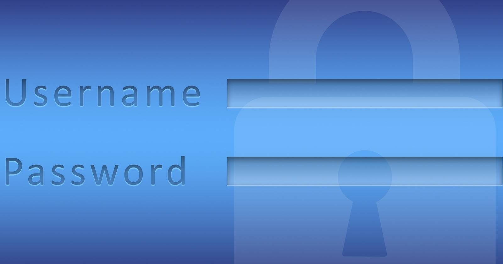 What Is Input Validation and Why Is It Important?