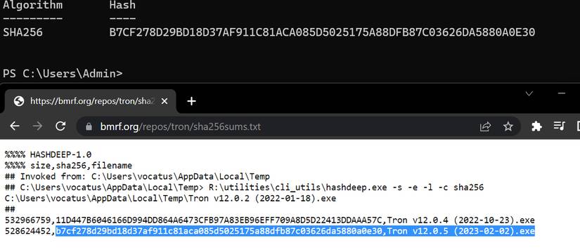 Make Your Old Windows PC Usable Again With Tron Script