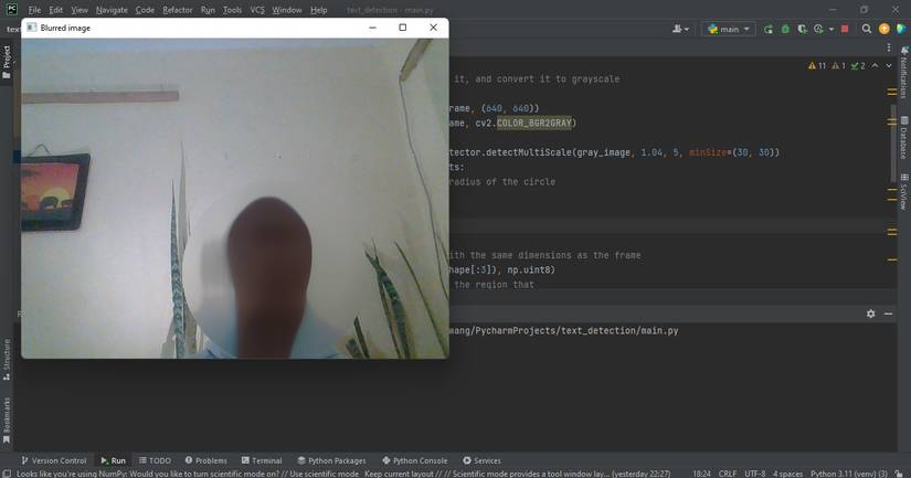 How to Blur Human Faces in Real-Time With Python