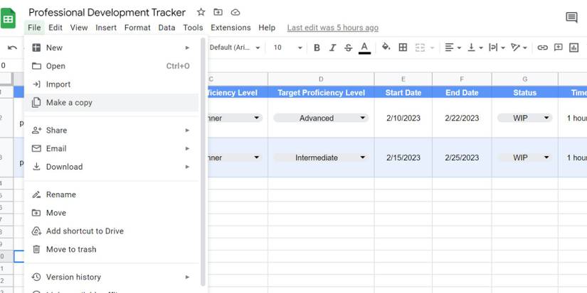 How to Use Google Sheets to Monitor Your Professional Skills Progress