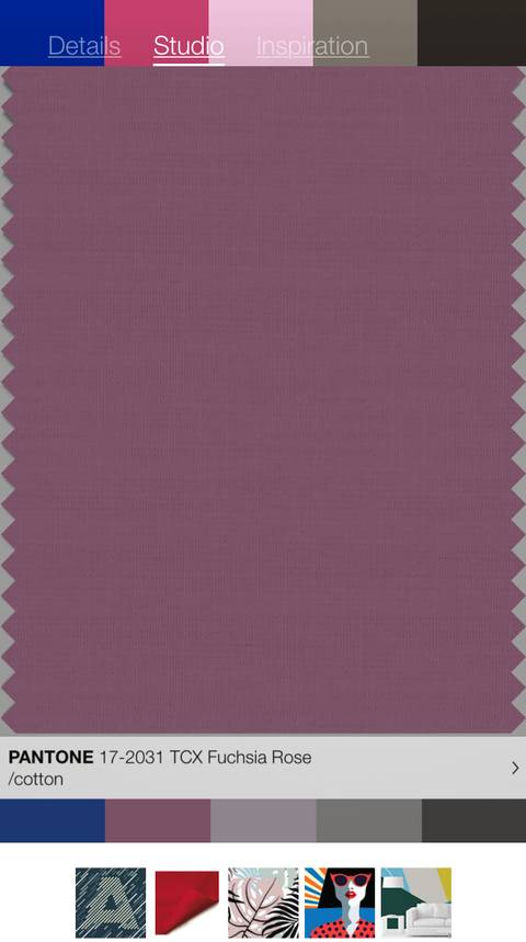 How To Create A Color Palette Using The Pantone Studio App
