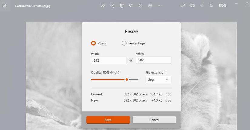 6 Ways to Resize Images in Windows 11