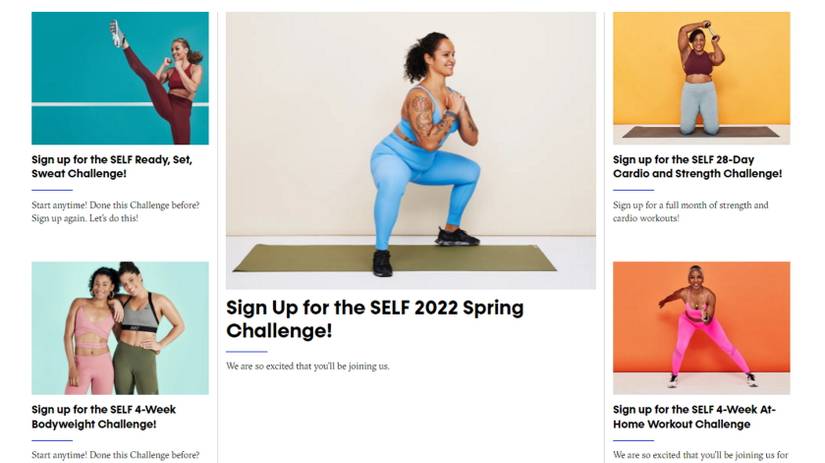 Reviewing the Features and Fitness Challenges of SELF