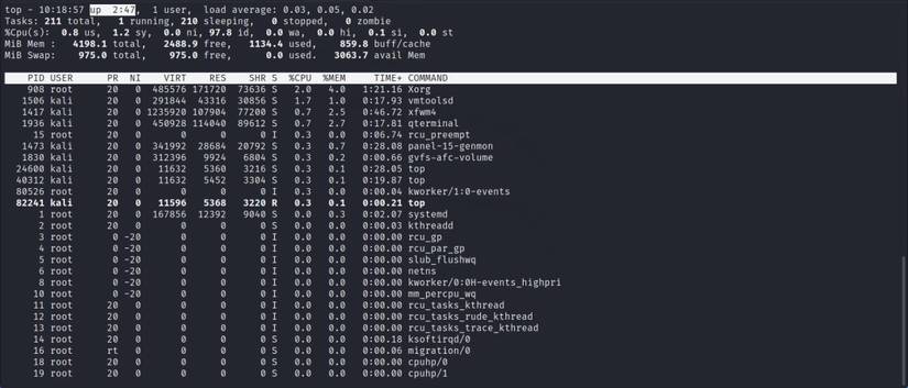 How to Quickly Check the System Uptime on Linux