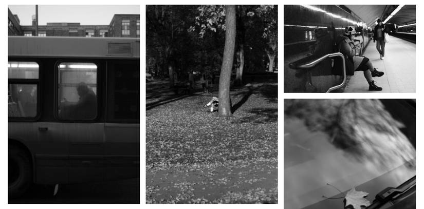 The 15 Best Sites for Free High-Resolution Stock Images