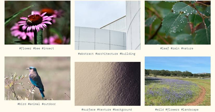 The 15 Best Sites for Free High-Resolution Stock Images