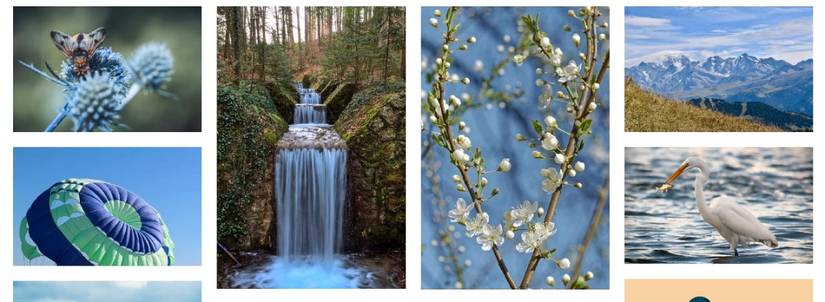 The 15 Best Sites for Free High-Resolution Stock Images