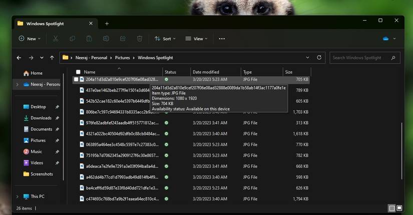 How to Save Windows Spotlight Pictures to Use as Wallpapers When You Want