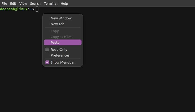 How to Copy and Paste Text in the Linux Terminal