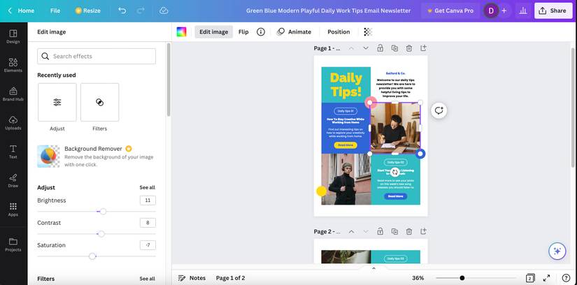 How to Design a Newsletter Using Canva