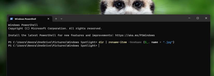 How to Save Windows Spotlight Pictures to Use as Wallpapers When You Want