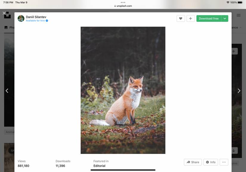 How to Create Double Exposure Images Using Procreate