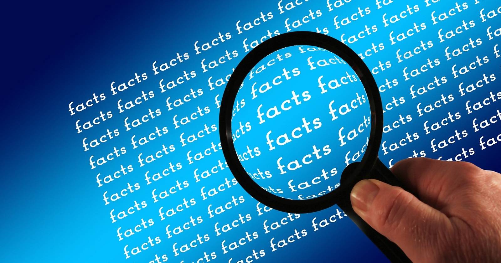 How to Get Hired as a Remote Fact Checker